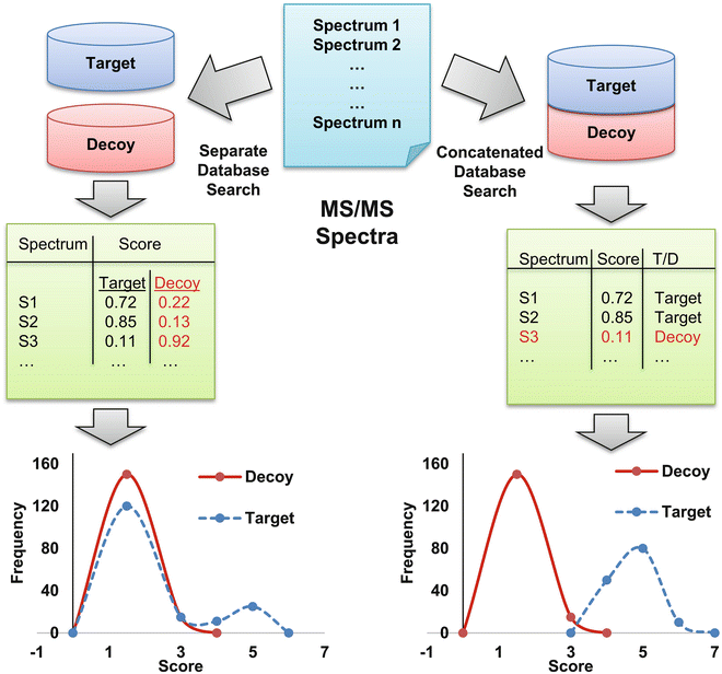 False Discovery Rate Estimation in Proteomics | SpringerLink