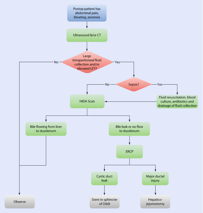 Postprandial Right Upper Quadrant Pain | SpringerLink
