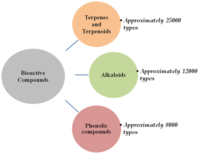 Potential Industrial Use of Compounds from By-Products of Fruits and ...