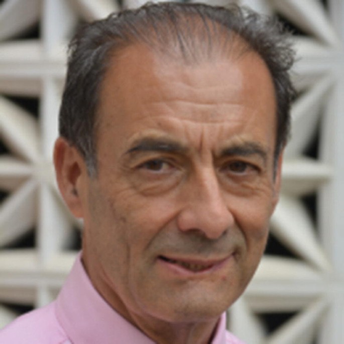 Olea, Ricardo A. | Springer Nature Link