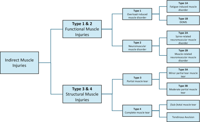 Biologic Strategies for Muscle Injuries | SpringerLink