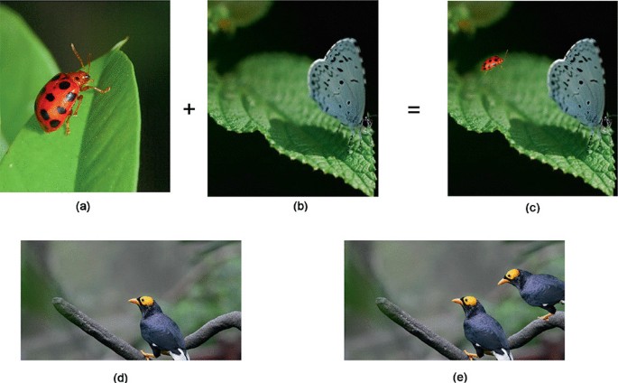 Blind Image Forgery Detection Using LBP and Statistical Moments ...