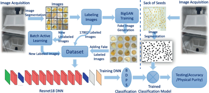 Automated Seed Quality Testing System Using GAN and Active Learning ...