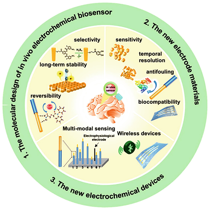 Electrochemical Sensors | SpringerLink