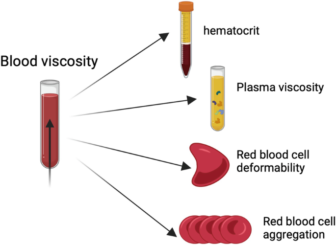Blood Rheology: Key Parameters and Impact on Blood Flow | SpringerLink