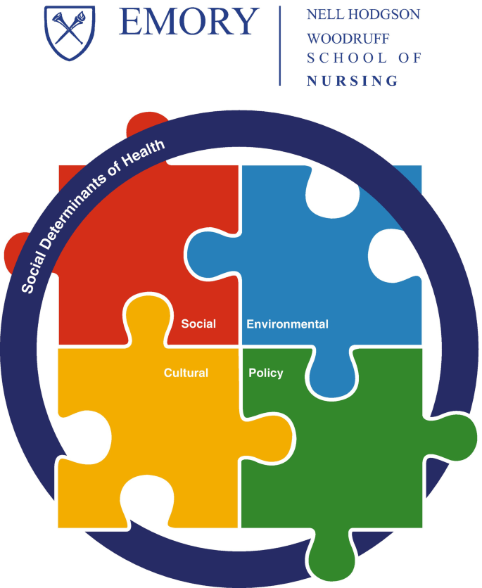 Integrating a Social Determinants of Health Framework into Nursing ...