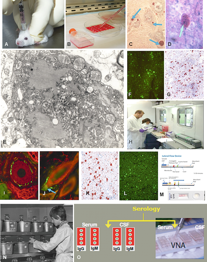 Historical Laboratory Contributions Supporting Rabies Diagnosis and ...