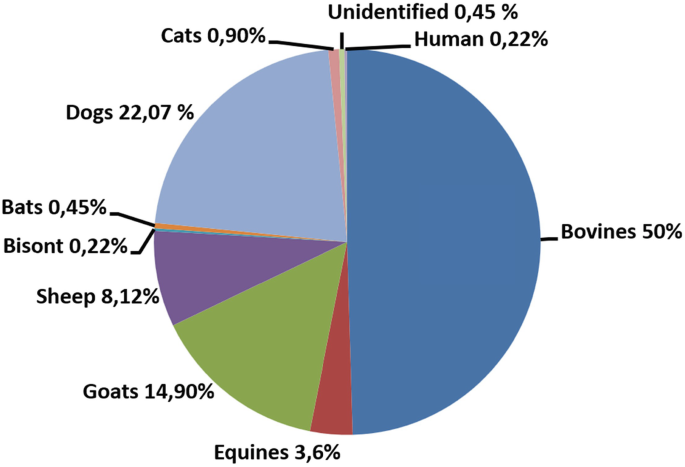 The History of Rabies in Venezuela | SpringerLink