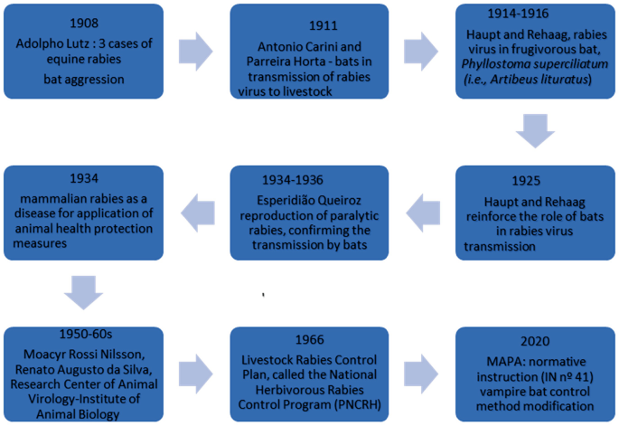 Rabies in Brazil | SpringerLink