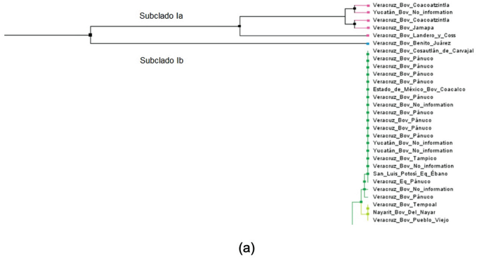 A History of Paralytic Bovine Rabies Transmitted by Vampire Bats in ...