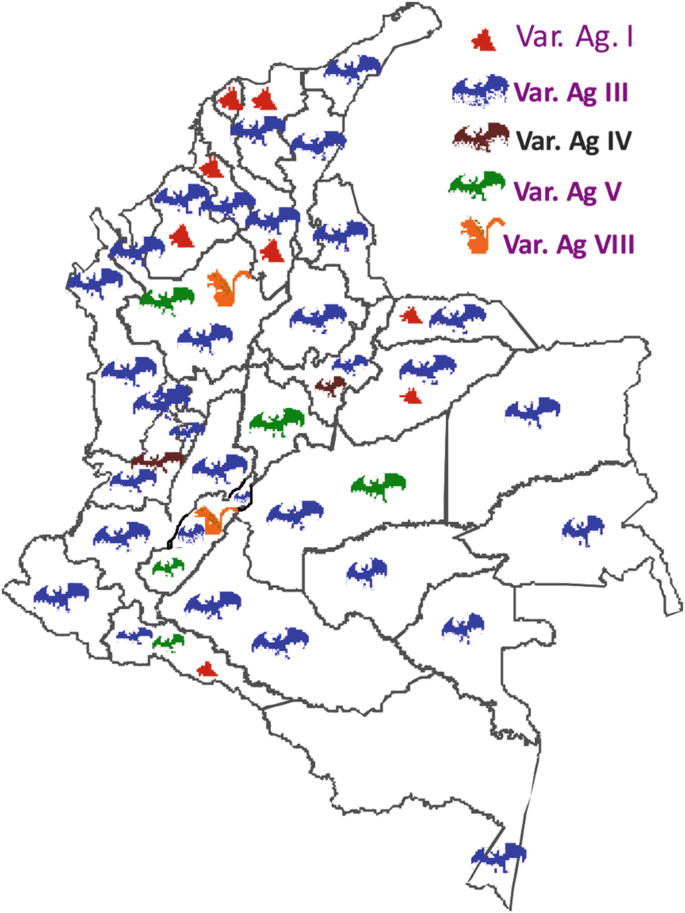 History of Rabies in Colombia | SpringerLink