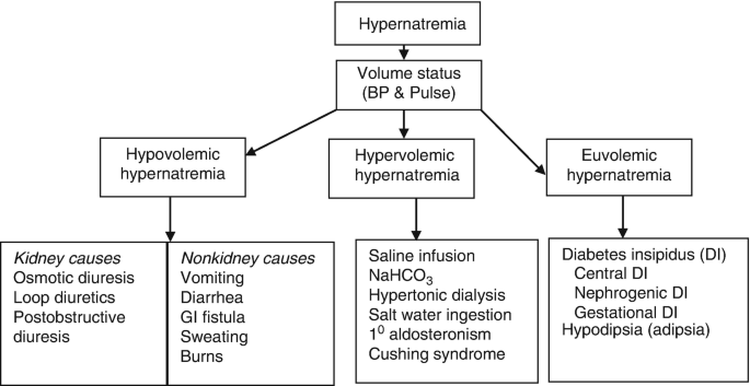 Disorders of Water Balance: Hypernatremia | SpringerLink