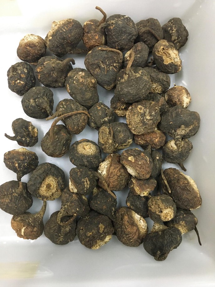 Bioactive Compounds and Biological Activities of Peruvian Maca ...