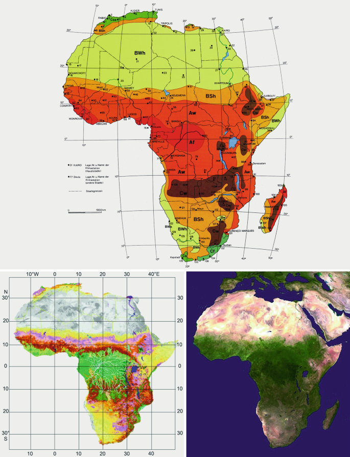 Regional Description – Africa and Madagascar | SpringerLink