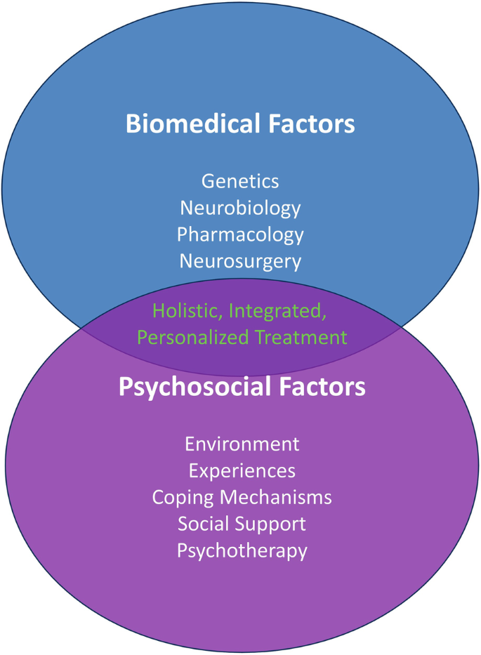Understanding the Biology and Pathology of Mental Disorders | Springer ...