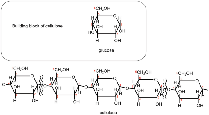 Dietary Fiber: Importance and Impact on Health Parameters | SpringerLink