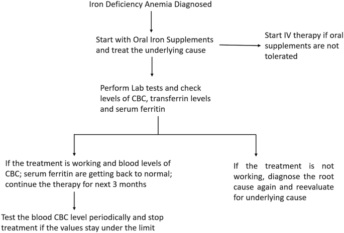 Iron Deficiency Anemia and Public Health: A New Narrative Related to ...