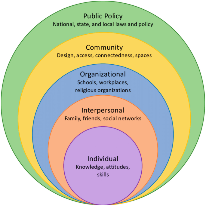 Nutrition Education: Increasing the Knowledge Base Through Hands-on Training | SpringerLink