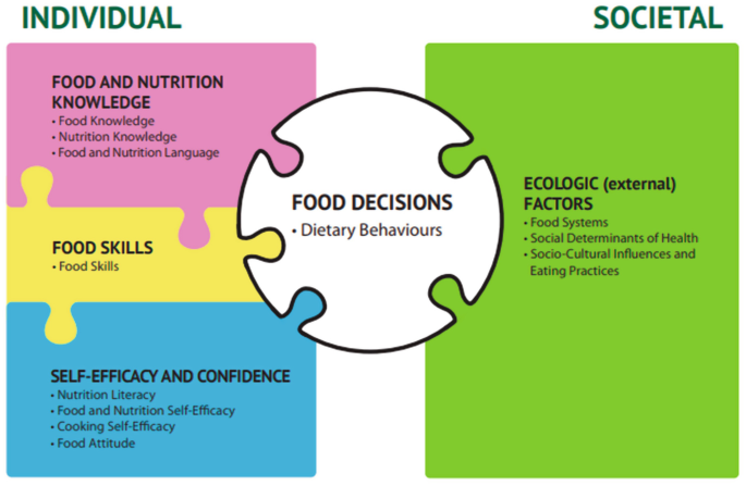 Nutrition Education: Increasing the Knowledge Base Through Hands-on Training | SpringerLink
