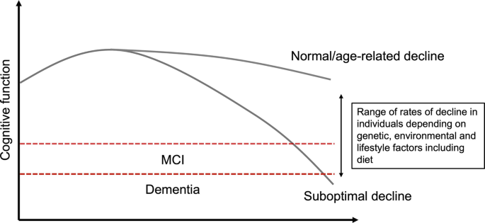 Diet Quality and Cognitive Health | Springer Nature Link (formerly ...
