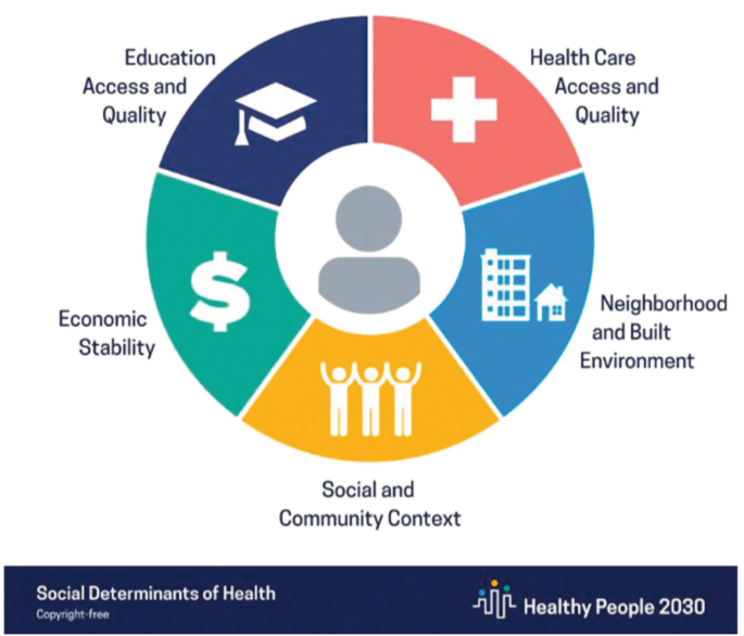 Sociological Inequalities and Nutrition Outcomes | SpringerLink