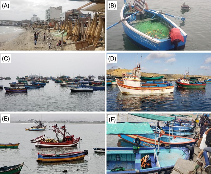 Sustaining Peru’s Small-Scale Fisheries: Exploited Biodiversity and ...