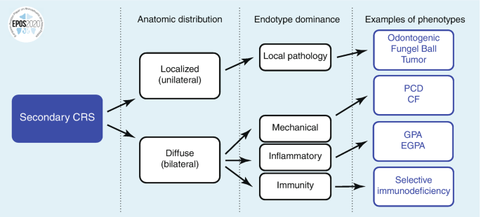 Evaluation of Surgical Treatments | SpringerLink