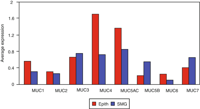 Mucin Expression in Nasal Polyps | SpringerLink