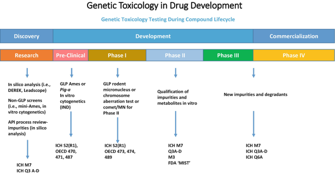 Principles and Practice of Genetic Toxicology in Drug Development and ...