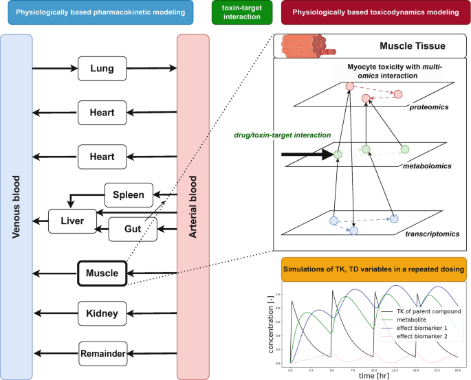 Quantitative Systems Toxicology | SpringerLink