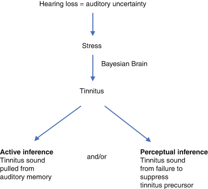 The Bayesian Brain and Tinnitus | SpringerLink