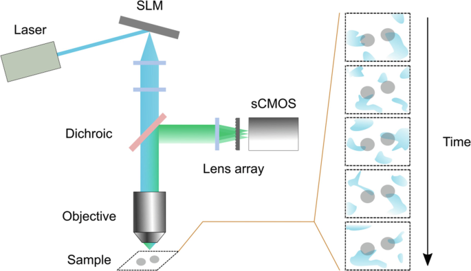 Light-Field Imaging with Patterned Illumination | SpringerLink