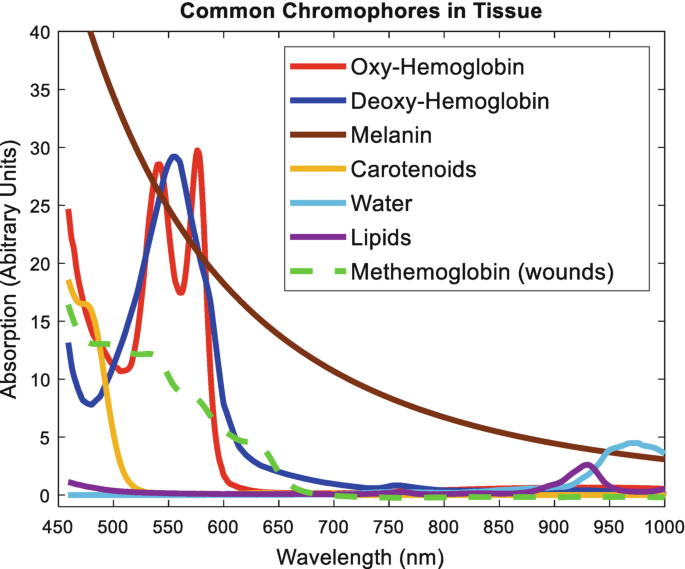 Spatial Frequency Domain Imaging | SpringerLink