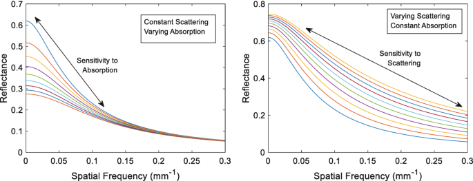 Spatial Frequency Domain Imaging | SpringerLink