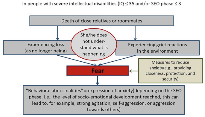 Ageing, Dying, and Death of People with Intellectual and Developmental ...
