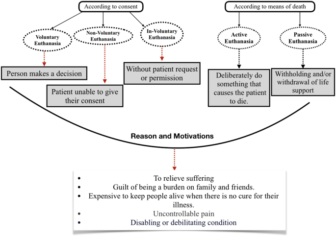 Euthanasia | SpringerLink