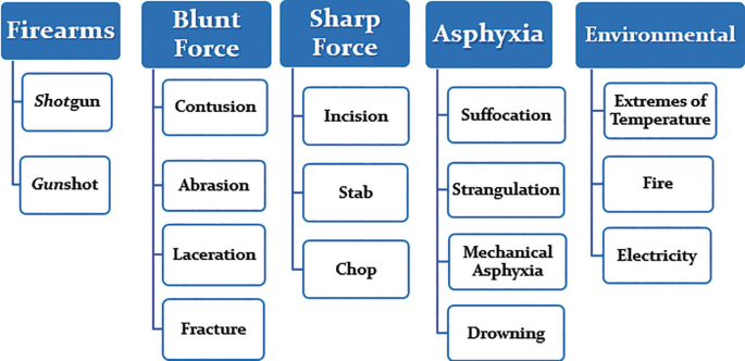 Physics 101 and Classification of Injury | Springer Nature Link ...