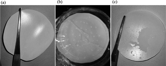Rinsing Conditions Optimization of the Polyacrylonitrile Membranes ...