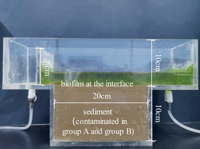 Effects of Biofilm Growth on the Release of Cu from Contaminated ...