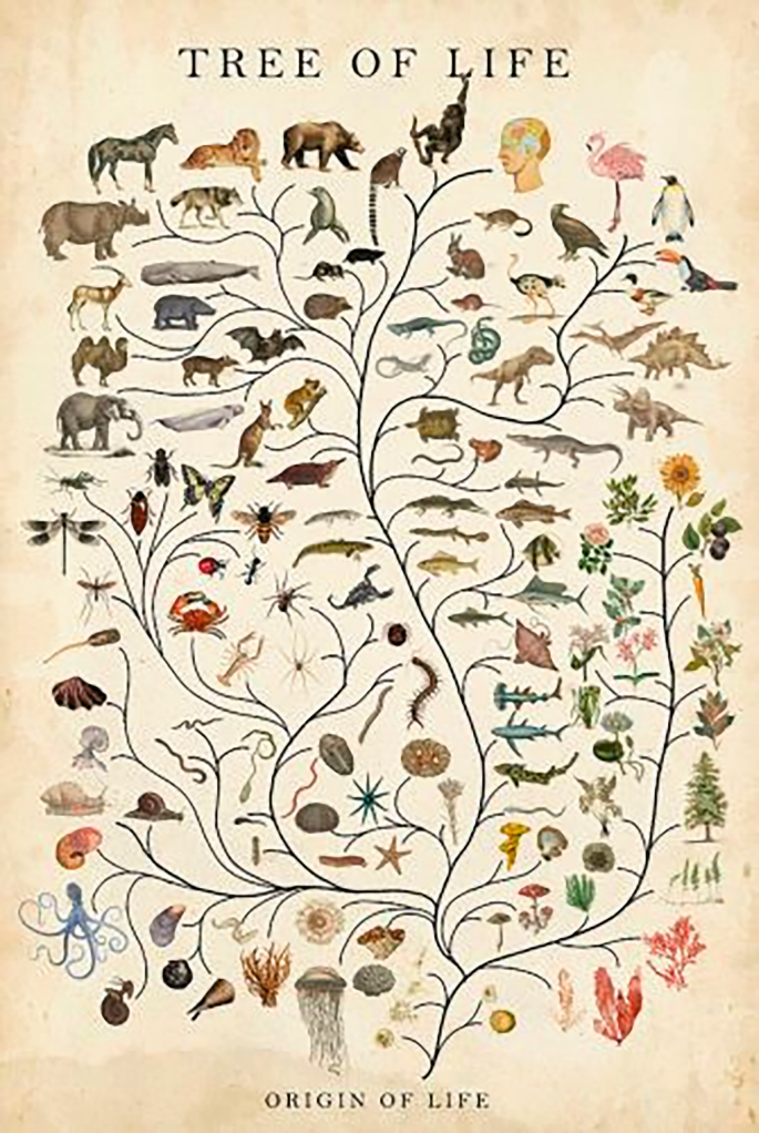 Shaking the Tree: Discussing an Evolutionary Icon | Springer Nature Link