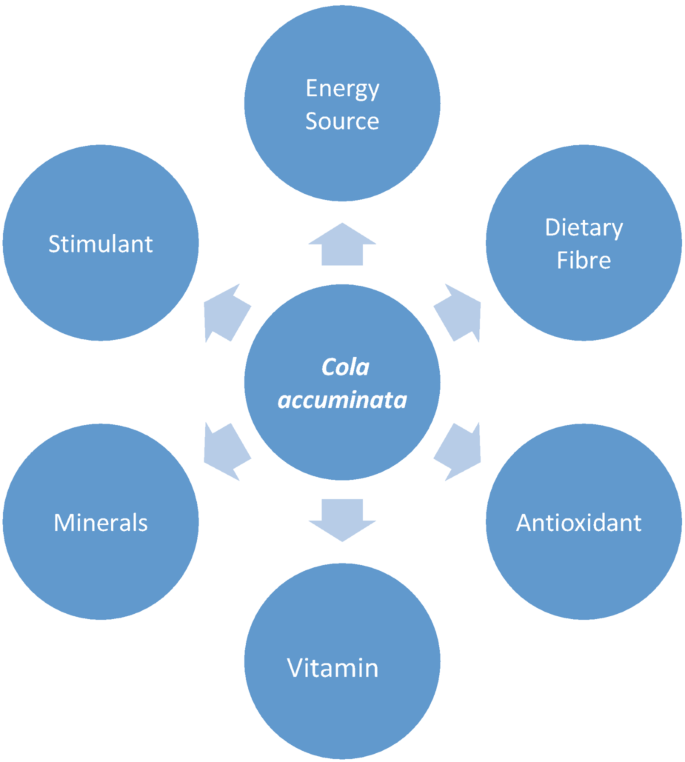 Cola accuminata: Phytochemical Constituents, Nutritional ...