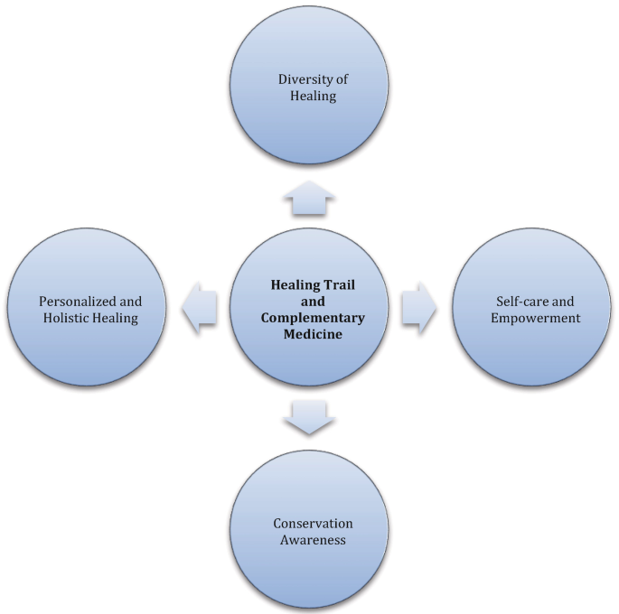 Healing Trails: Integrating Medicinal Plant Walks into Recreational Development | SpringerLink