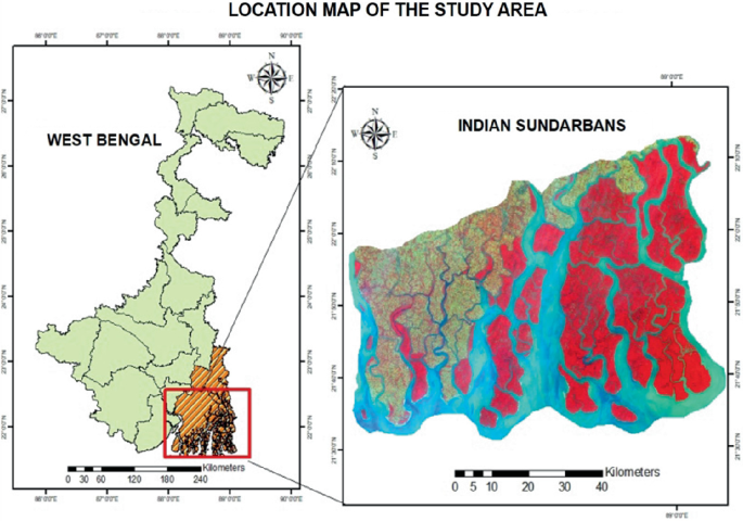 A Study on Temporal Health of Mangrove Forest to Identify the Pattern ...