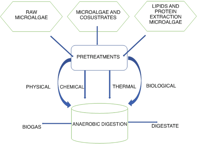 Biogas Obtained from the Anaerobic Digestion of Microalgal Biomass | SpringerLink