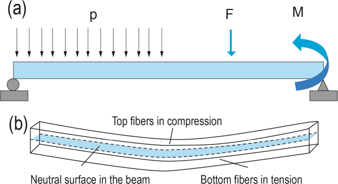 Cantilever Mechanics and Deflection Sensing | SpringerLink