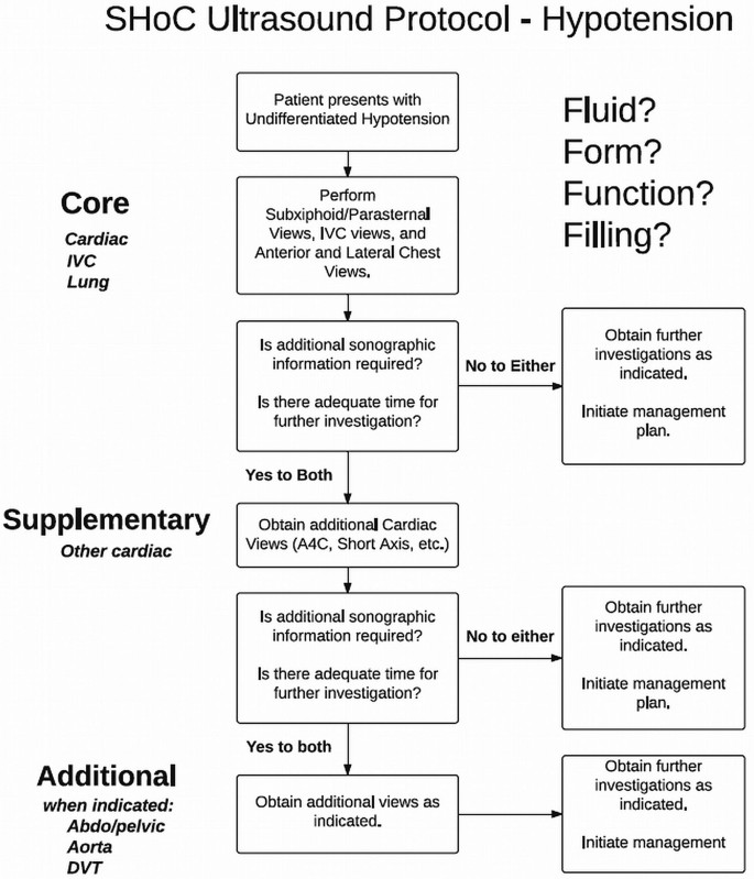Echocardiography for Cardiac Arrest | SpringerLink