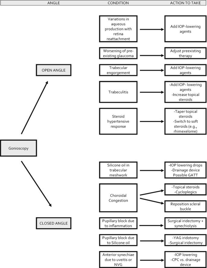 Pressure-Dependent Optic Neuropathy (Ocular Hypertension/Glaucoma) and ...