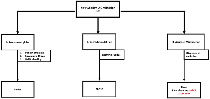 Posterior Segment Complications of Cataract Surgery: When the Anterior ...