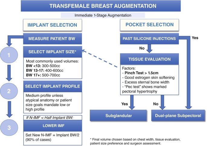 Transfemale Breast Augmentation | SpringerLink