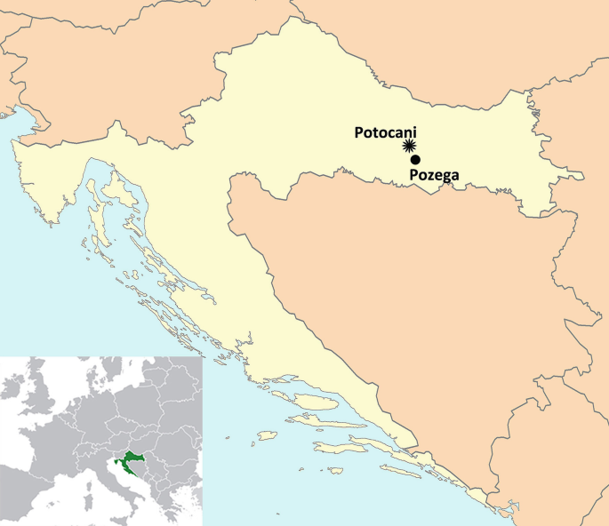 The Poetics of Massacre in Copper Age Croatia: Integrative Analysis of ...